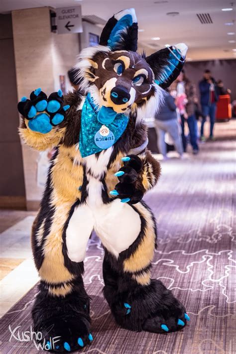 Furry Animal Costumes