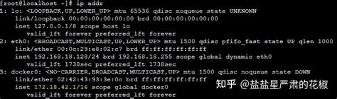 Docker实战之容器网络机制（上） Linux路由机制打通网络 知乎