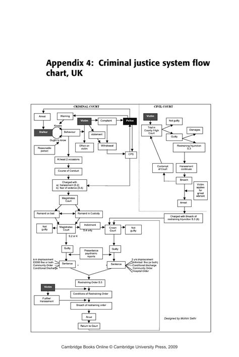 Criminal Justice System Flowchart