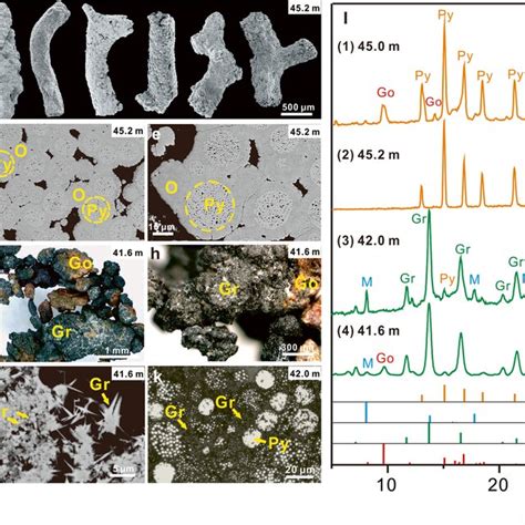 Morphologies Structures And Mineralogical Data For Authigenic