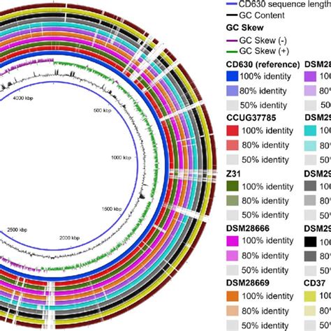 Sequence Identity Between Nontoxigenic C Difficile Strains The Download Scientific Diagram