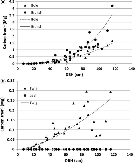 The Relationship Between A Tree Stem And Branch B Twig And Leaf Download Scientific Diagram