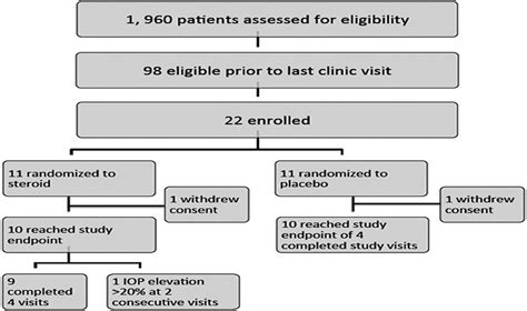 A Randomized Controlled Trial To Determine The Effect Of Inh Journal Of Glaucoma