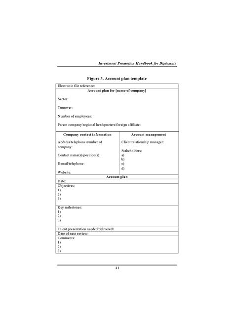 39 Free Account Plan Templates [excel Ppt Word]