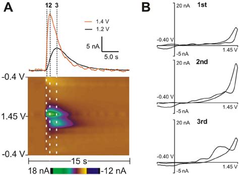 Detection Of Spontaneous Transient Adenosine Release In Vivo A In