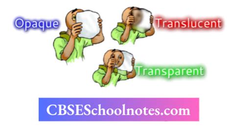 Cbse Notes For Class 6 Science Chapter 2 Sorting Materials Into Groups