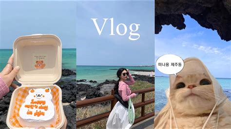 Vlog 6 5월의 제주🍊 제주에서 생일 보내기 🎂 협재 금능 곽지 Youtube