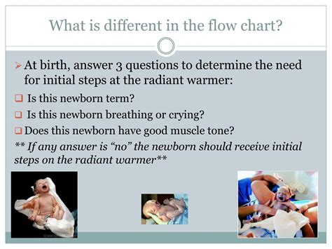 PPT NRP 6 Th Edition Update PowerPoint Presentation Free Download ID 1110177