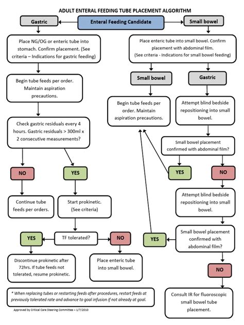 Enteral Feeding Candidate Small Bowel Adult Enteral Feeding Tube