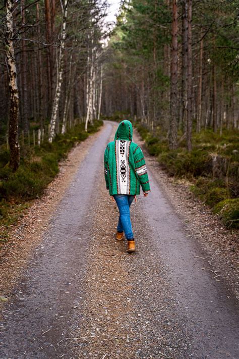 The Lazy Duck Karibu Media