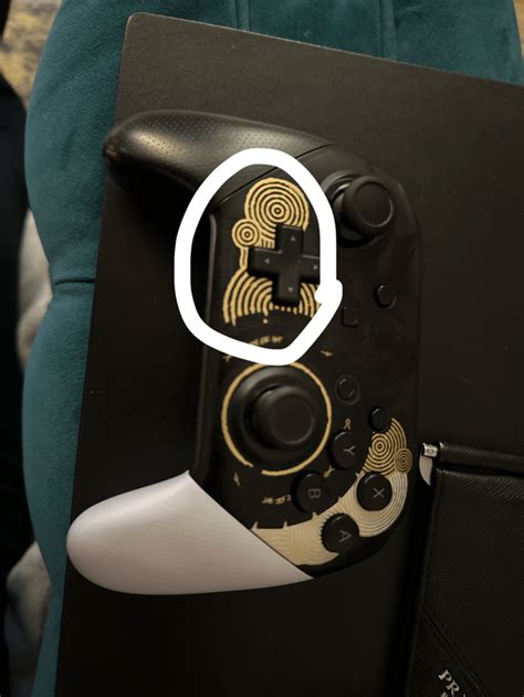 Fake Totk Controller Rtearsofthekingdom