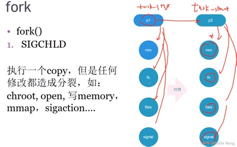 进程线程二 Fork、vfork、clone，写时拷贝cow技术线程是 Fork还是vfork Csdn博客