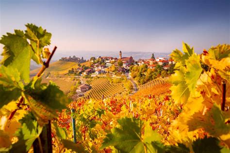 Le Colline Piemontesi Da Visitare Quando Inizia Il Foliage