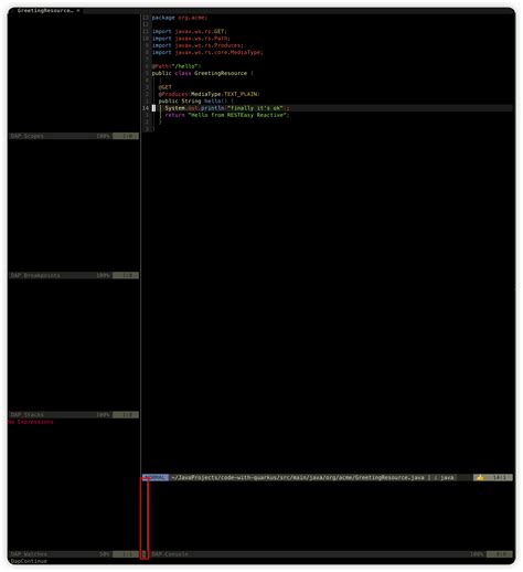 Dap Repl Window Width Is Not Correct After Trigger Debug Session Twice