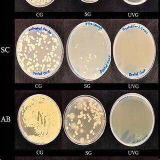 Agar Plates Showing Bacterial Growth Following Disinfection Of SI SC Download Scientific