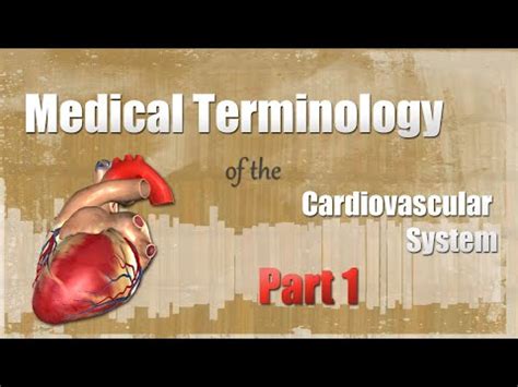 Introduction To The Cardiovascular System Full Video Part 1 And 2