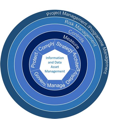 Data And Information Asset Management Framework V1 Pontus Vision