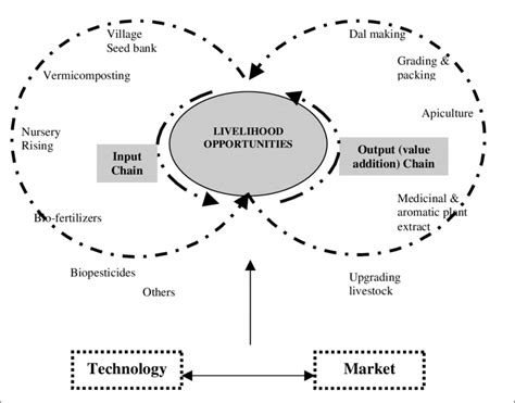 Input Output Chain In Livelihood Promotion Download Scientific Diagram