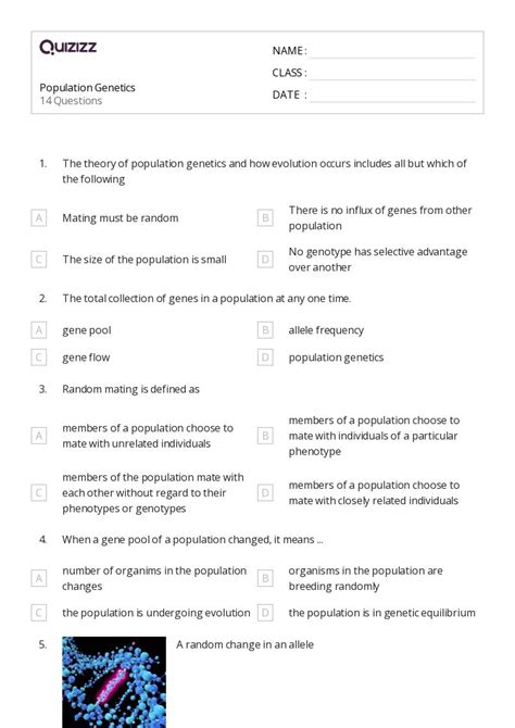 50 Genetics Vocabulary Genotype And Phenotype Worksheets For 12th