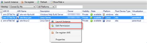 Setting Launch Permissions On An Amazon Machine Image Aws Toolkit