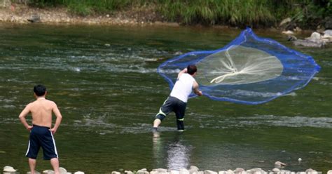 경북보건환경연구원 이달부터 민물고기 기생충 조사
