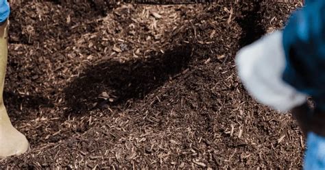 Topsoil Vs Garden Soil Understanding The Differences