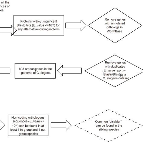 Computational Pipeline To Identify Orphan Genes And De Novo Download Scientific Diagram