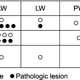 Causes Of Extraluminal Compression In The Duodenum According To Lesion Download Scientific
