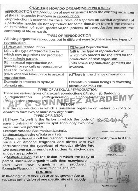 SOLUTION Class Th Science How Do Organisms Reproduce Studypool