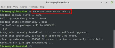 How To Install And Enable Ssh On Linux Mint Linuxways