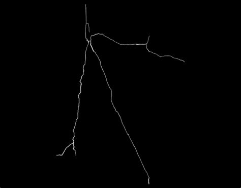 Detailed Cell Information Ctr Ctx H
