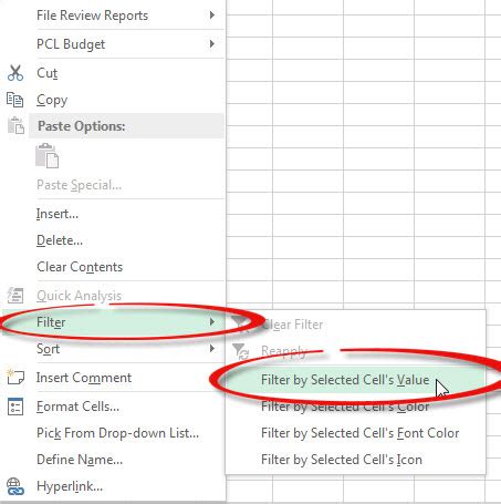 Excel Filter Trick A Accounting