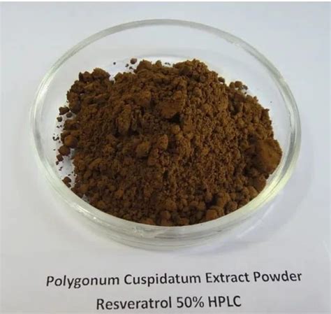 Polygonum Cuspidatum Extract Packaging Size 25 Kg At ₹ 9000 Kg In Dera Bassi