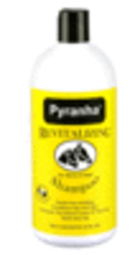 Pyranha Pyrethrin Shampoo Quart Pinkston S Turf Goods