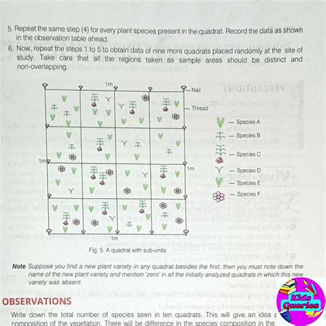 Class 12, plant population density by quadrat method#practical - YouTube