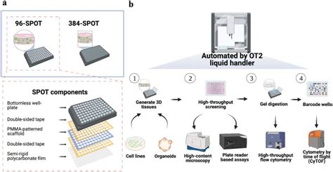 Standard Biotools On Linkedin An Automation Workflow For High‐throughput Manufacturing And