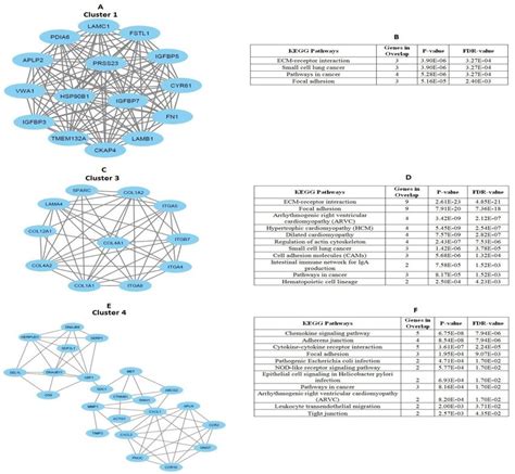 The Functional Enrichment Analysis Of Mcode Derived Clusters A Ppi Download Scientific