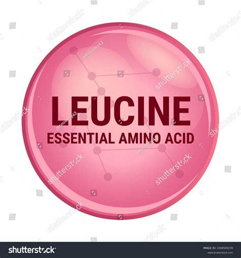 Amino Acid Abbreviations