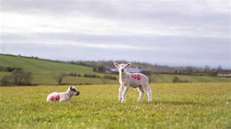 Introduction To The Handling Of Unexpected Deviations