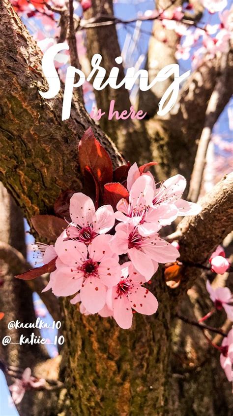 25 Incomparable Spring Wallpaper Reddit You Can Use It Free Of Charge