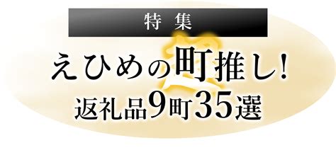 えひめの町（超）推し対象返礼品の追加について