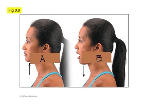 Week 7 Lab Body Movements Flashcards Quizlet