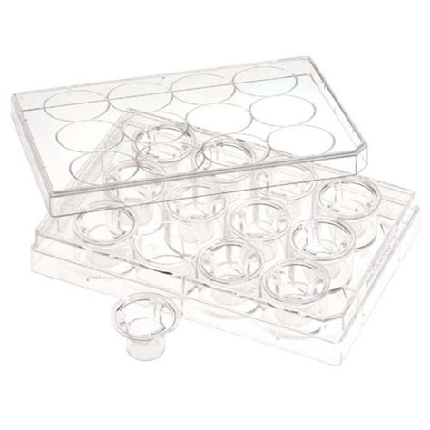 Celltreat 230617 Permeable Cell Culture Insert Plate Pc 3um 주파머i