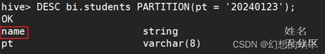 4hive表更新字段信息，一次讲明白hive修改字段类型 Csdn博客