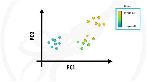 Principal Component Analysis Pca Simply Explained