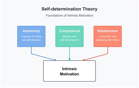 Self Determination Theory Design In Progress A Collaborative Text On