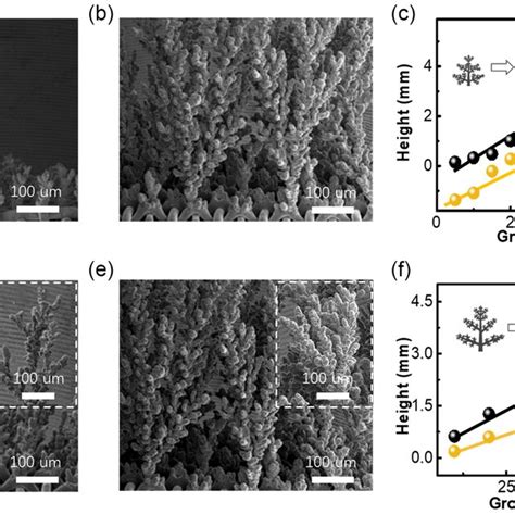 Optimization The Substrate Structure Of The Net‐based Solar‐thermal