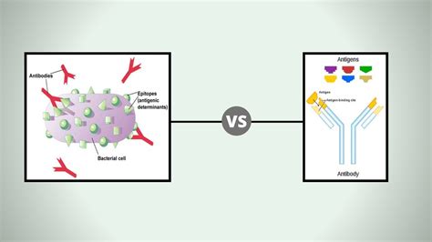 Differences Biology Notes Online