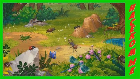 НАСЕКОМЫЕ 🐞 Учим насекомых Развивающий мультик для малышей про насекомых Youtube