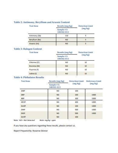 free 12 sample testing reports in pdf ms word